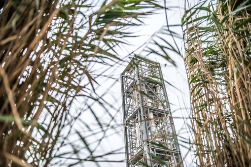 Environmental Development | Shell Qatar